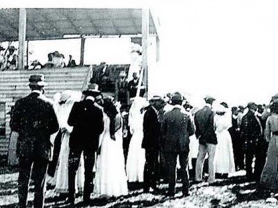 Portfolios – Walcha NSW