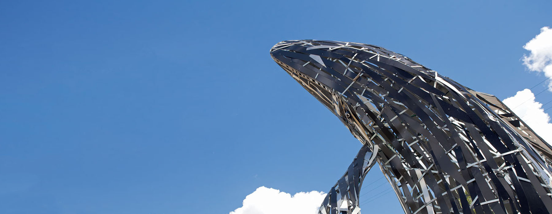 Explore – Walcha NSW