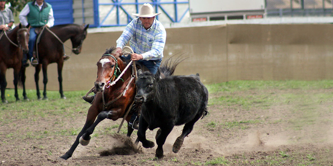 What’s On? – Walcha NSW