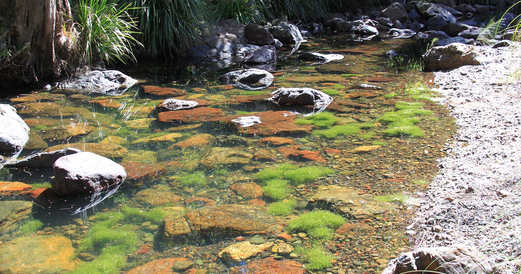 National Parks – Walcha NSW