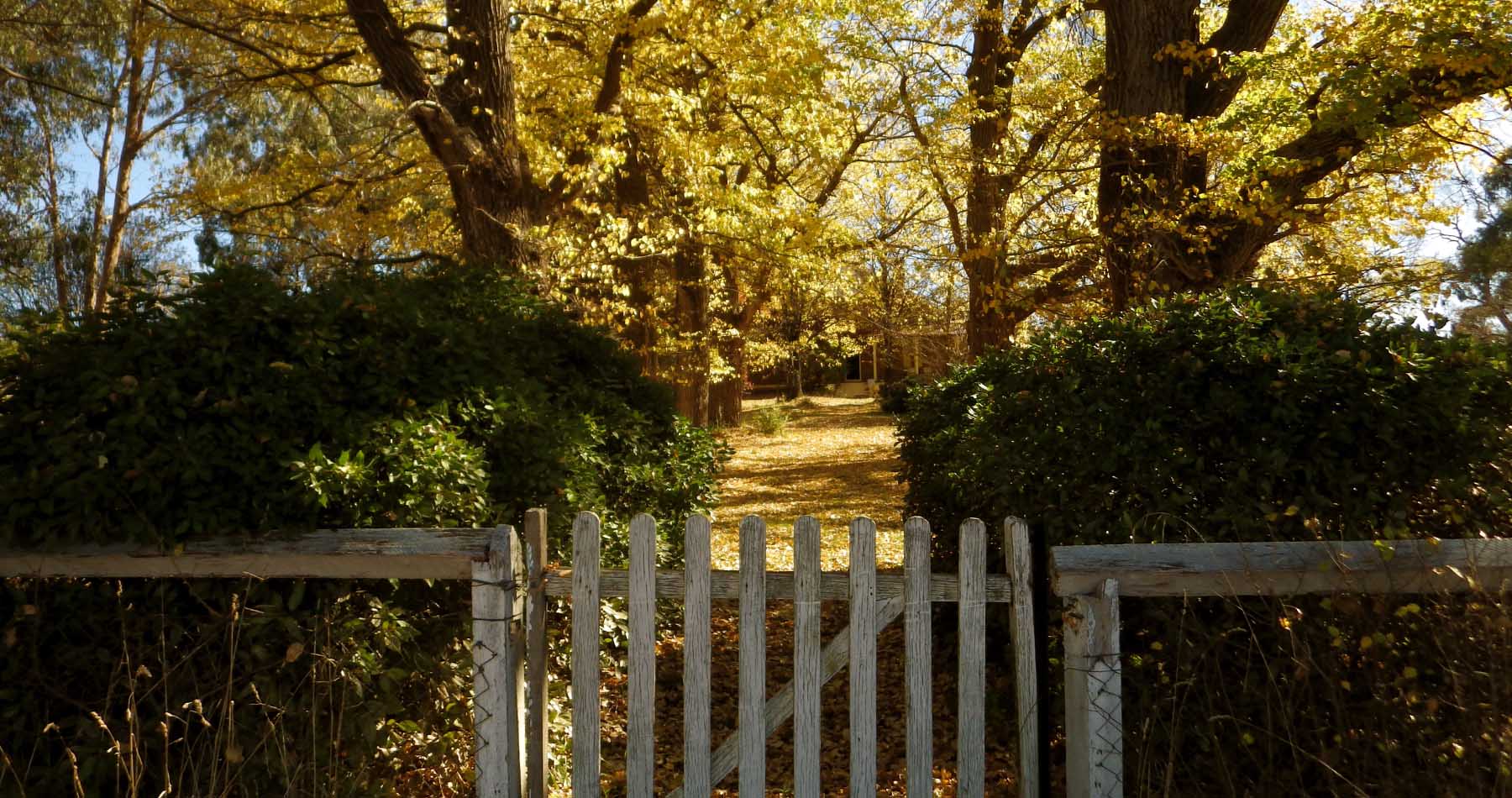 Explore – Walcha NSW